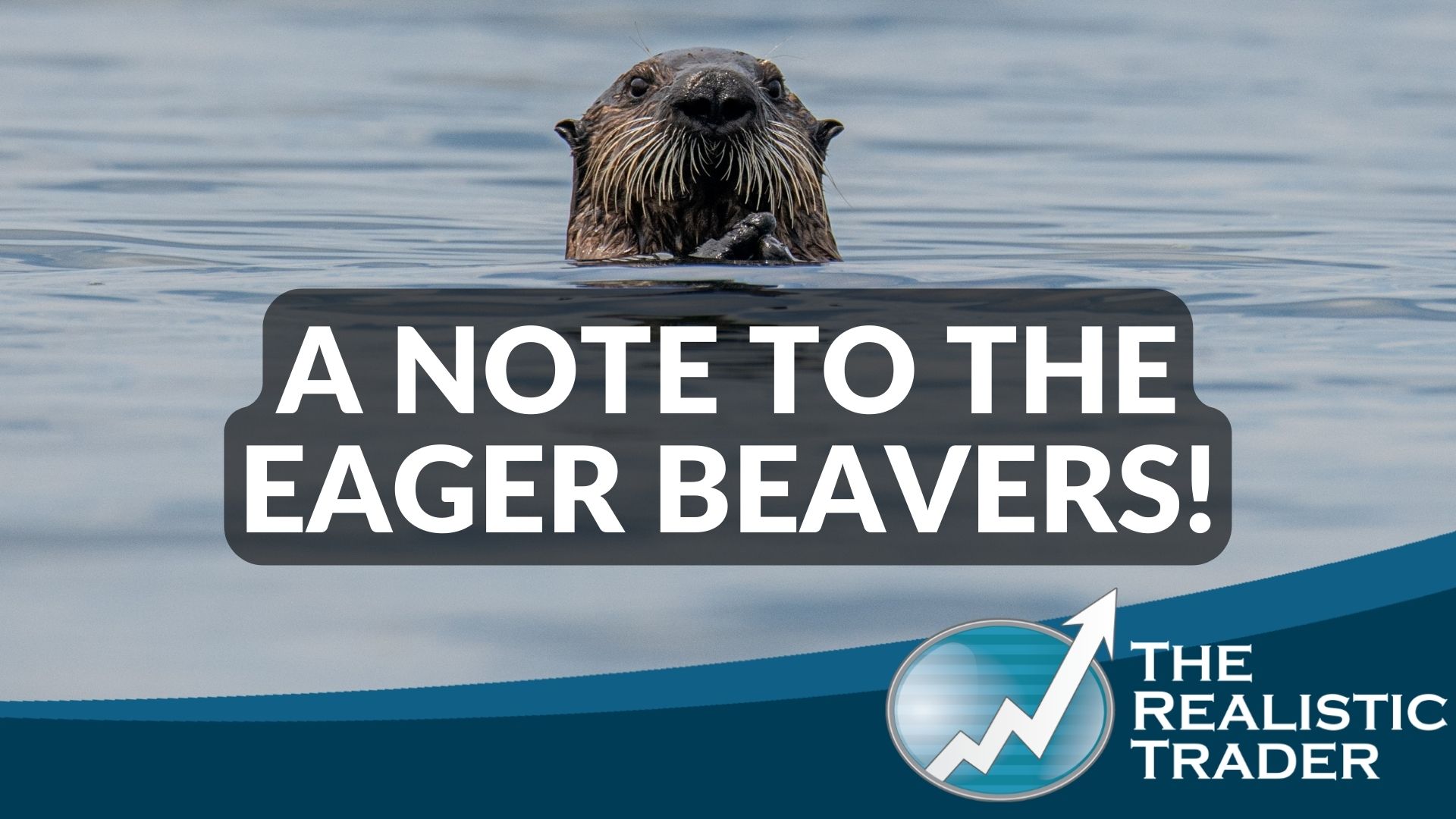 THE EAGER BEAVER MODULE! - The Realistic Trader Portal